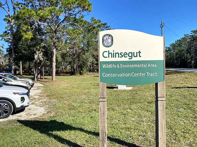 The Conservation Center Tract protects wild spaces, giving nature room to breathe while we visit respectfully.