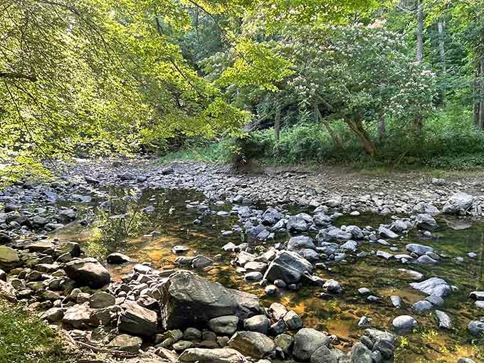 The creek meanders through smooth stones like it's got all the time in the world, because it does.