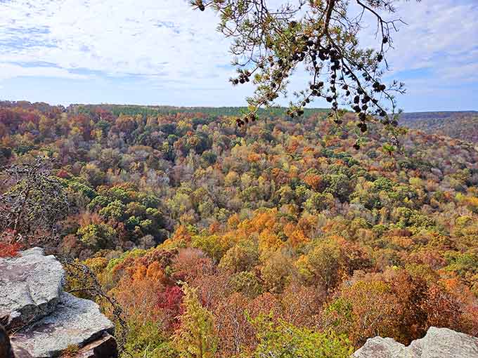 Fall foliage turning the canyon into a painter's fever dream, no filter needed or wanted here, folks.