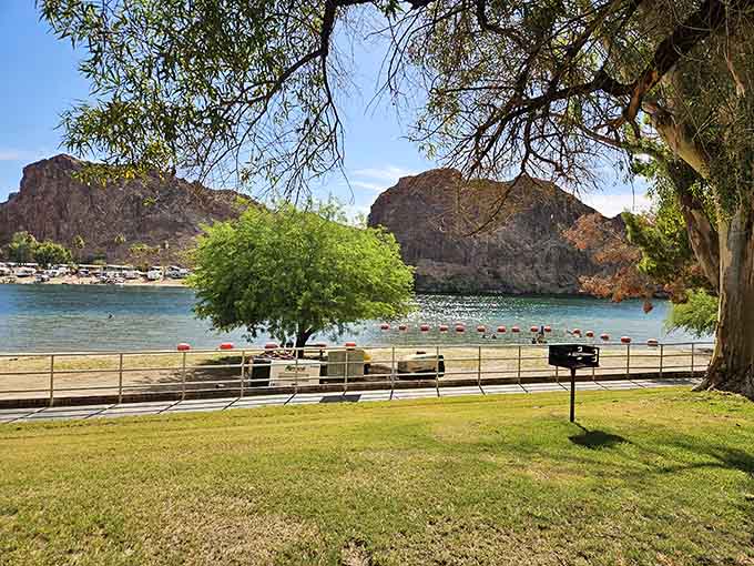 Shaded picnic spots with river views and mountain backdrops turn a simple lunch into an experience your Instagram followers will envy.