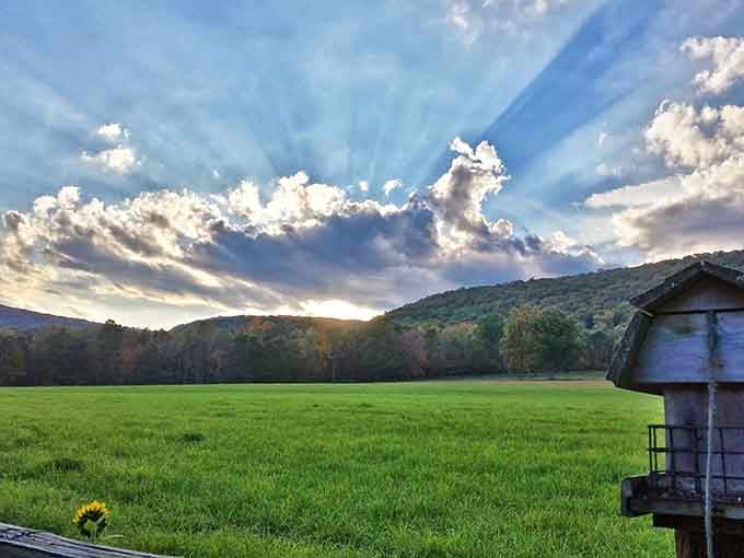 When the sky decides to put on a show, even that humble shed becomes part of something spectacular.