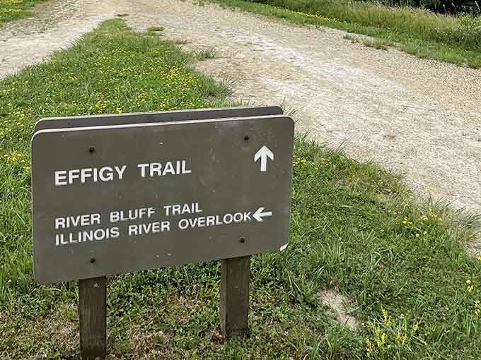 Trail markers guiding you toward effigy mounds and overlooks that'll rewrite your definition of Illinois landscapes.
