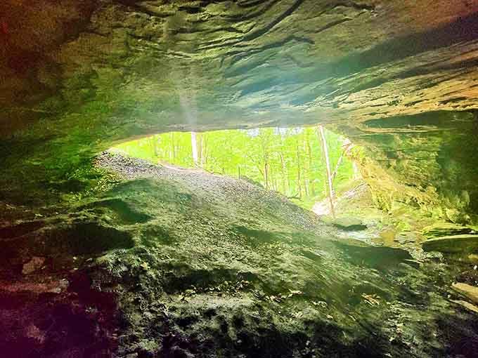 Underground beauty at its finest, where nature's architecture puts human efforts to shame with light and stone.