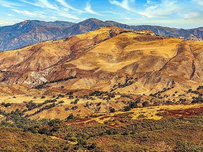 Golden hillsides roll like waves frozen in time, painted in every shade between honey and burnt sienna.