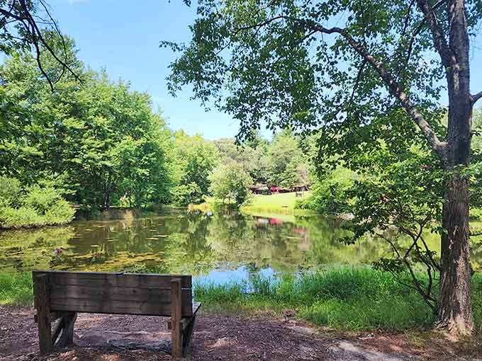 Perfect spot to rest those fossil-hunting legs while contemplating whether that rock you found is actually a treasure.
