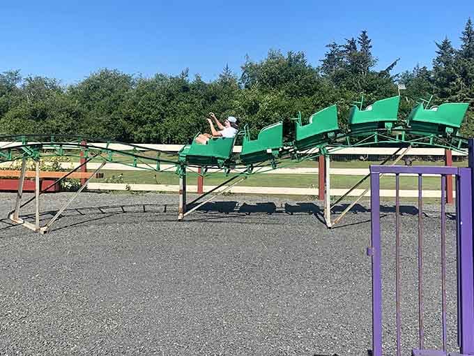 A mini roller coaster promises gentle thrills for the younger set, no motion sickness required here.