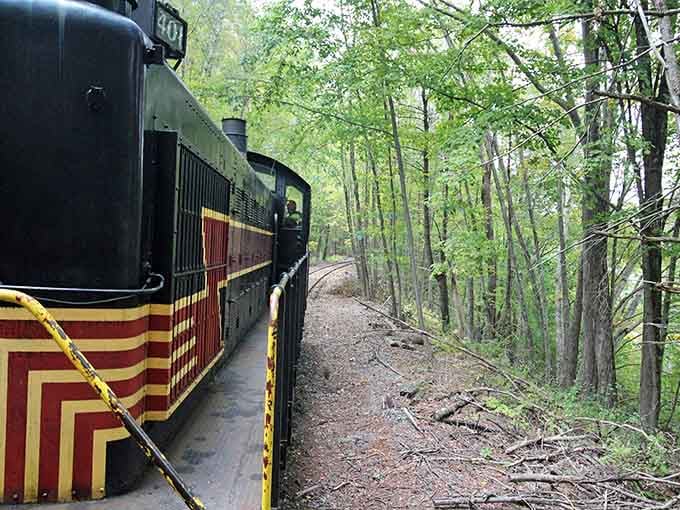 The locomotive curves through dense forest where wildlife outnumbers people and nobody's checking their phone for signal.