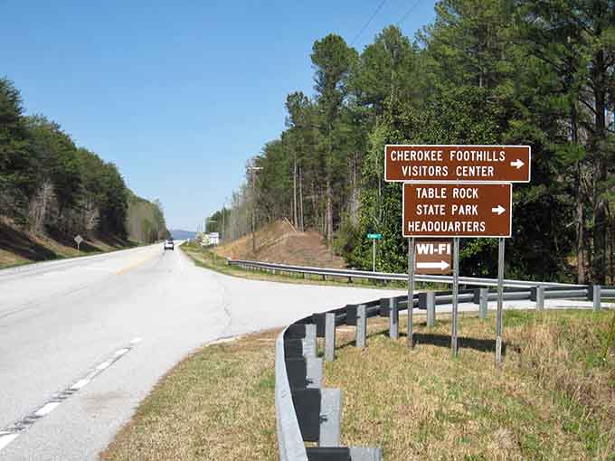 Winding roads through green tunnels of trees&mdash;Mother Nature's version of a scenic car wash without the soap.