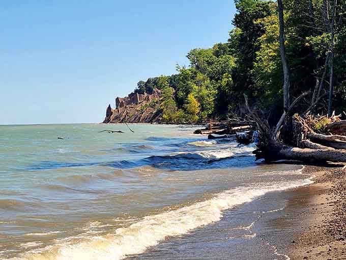 Driftwood scattered along the wild shore adds character to an already dramatic landscape that refuses to be ordinary or tame.
