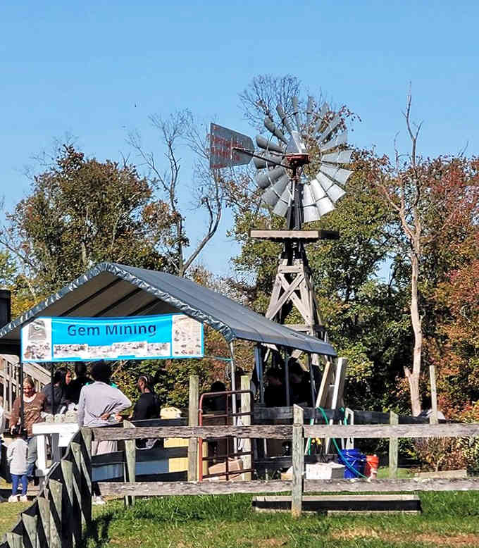 Gem mining brings out the prospector in everyone, that rustic windmill overhead adding authentic frontier charm to the treasure hunt.