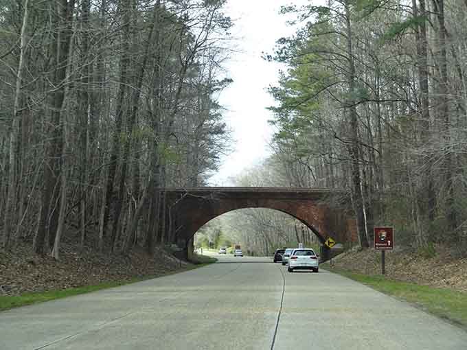 Driving through this tunnel feels like entering Narnia, except your car has better gas mileage than a sleigh.