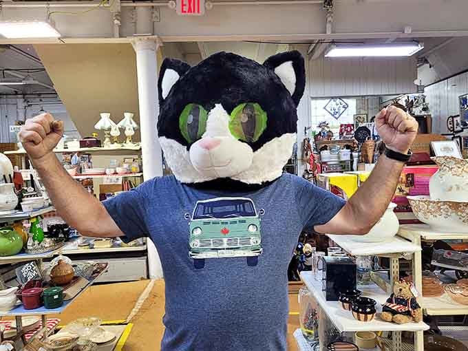 Found the purr-fect disguise at Columbus Antique Mall! You never know what quirky treasures are waiting behind every single corner.