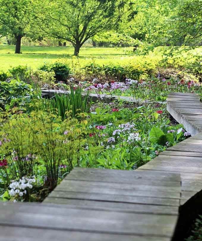 Wooden boardwalks guide you through wetland gardens bursting with colorful blooms and endless photo opportunities.