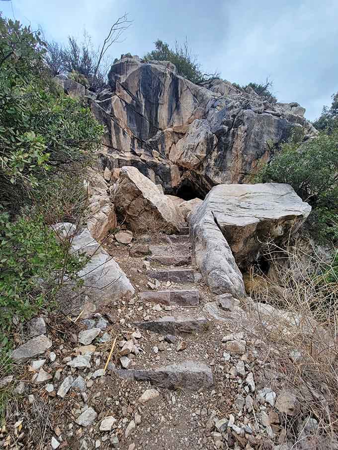 Stone steps lead upward to an opening that swallowed sunlight and replaced it with mystery.