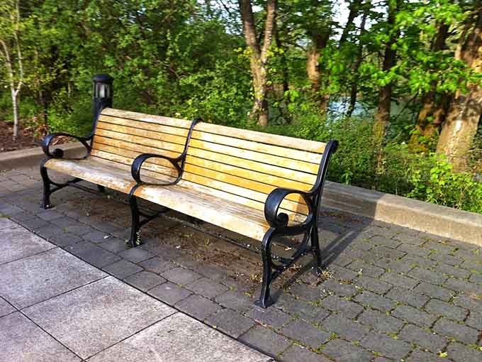 Strategic benches appear exactly when your legs start suggesting that maybe sitting sounds nice right about now.