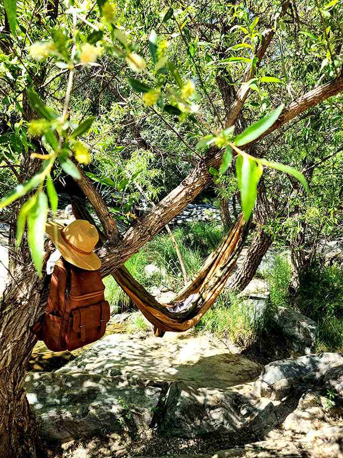 Someone found the ideal hammock spot, proving that relaxation is an art form worth perfecting outdoors.
