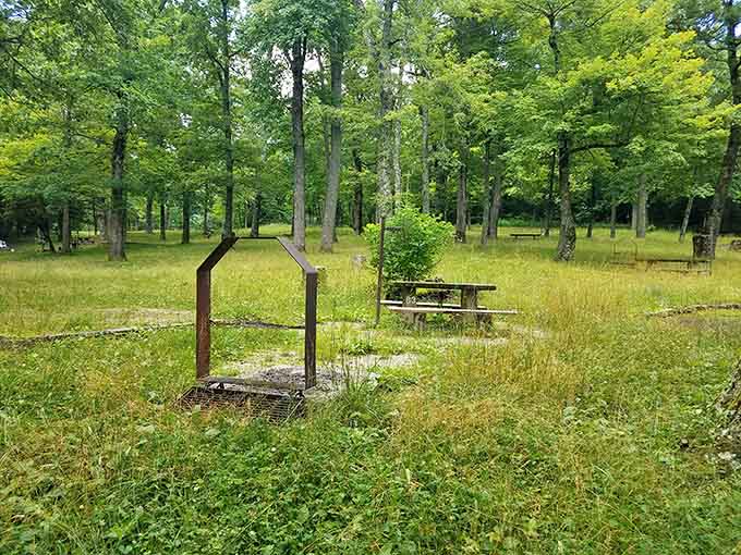 Picnic tables scattered among the trees offer front-row seats to the greatest outdoor dining room you'll ever visit.