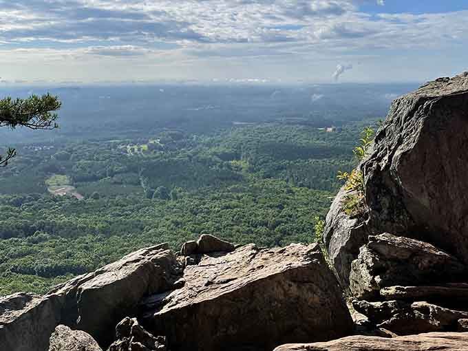 Summit views reward your climb with vistas that make every huffing, puffing step completely worth the cardiovascular investment.