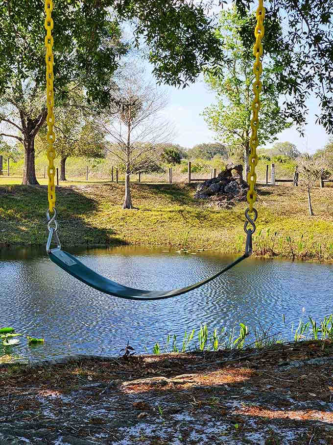 A swing over the pond where you can pretend you're in a Nicholas Sparks movie, minus the drama.