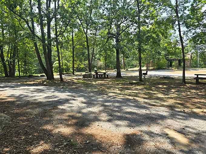 Picnic areas nestled among towering trees offer the perfect spot for lunch with a side of tranquility and shade.