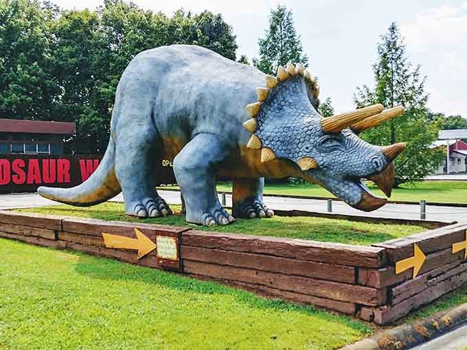This Triceratops looks surprisingly content for a creature that spent its entire existence as potential T-Rex takeout.