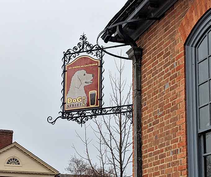 That ornate hanging sign featuring a distinguished-looking dog and a beer glass tells you everything you need to know about priorities here.