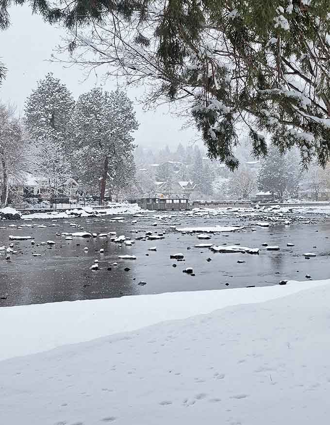 Winter transforms Drake Park into a frosted wonderland that looks cold but feels oddly peaceful and inviting.
