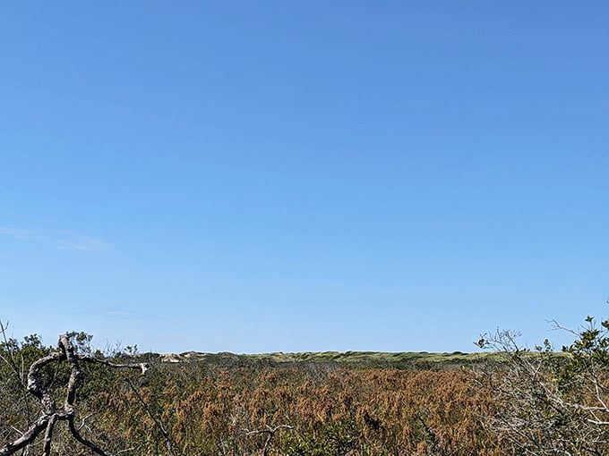 When the landscape is so vast and empty, even the sky seems unsure what to do with itself.