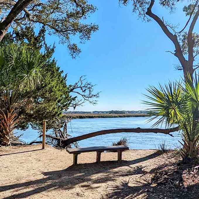 Find this bench overlooking the creek and suddenly your biggest problem is deciding how long to stay put.