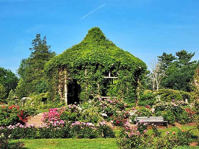 The vine-covered gazebo looks like something from a storybook, minus the talking animals but plus the incredible photo opportunities.