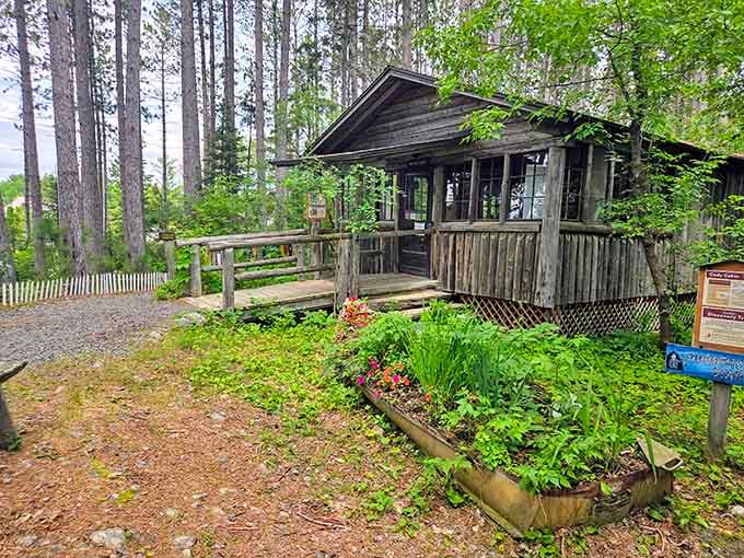 Dorothy Molter's cabin stands as a testament to wilderness living, complete with her legendary root beer hospitality.