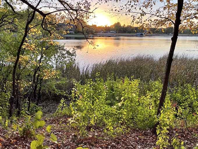 Golden hour at the lake turns ordinary evenings into something worth putting down your phone to actually experience.