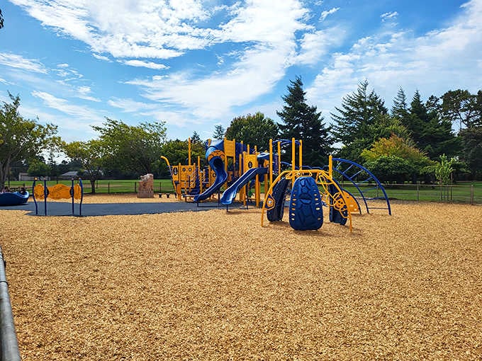 The playground equipment gleams bright against blue skies, ready for grandkids to burn off energy while you enjoy the shade.