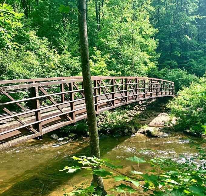 Crossing this bridge feels like walking into a postcard, except you're actually there and it's even better.