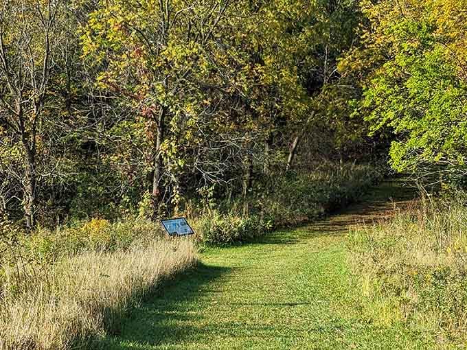 Horseshoe Mound Preserve offers trails where nature does all the talking and you do the listening.