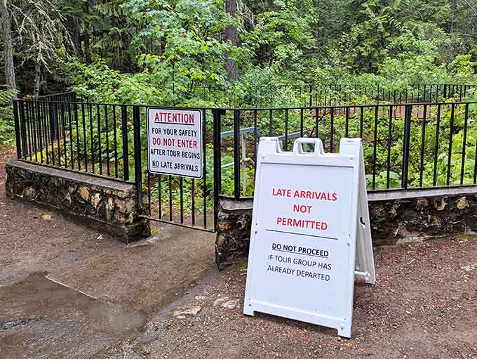 Late arrivals not permitted, because apparently even underground adventures require punctuality and respect for Mother Nature's schedule.