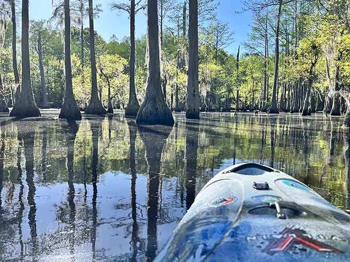 Gliding through mirror-like waters where the only thing disturbing the peace is your own paddle.