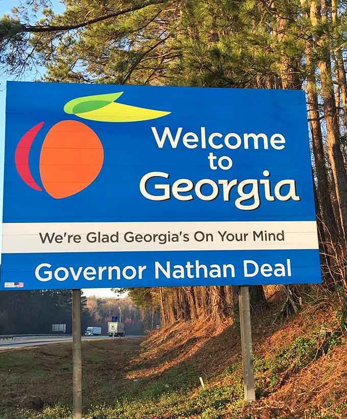 Pine trees frame this sign like nature's own picture frame, making every snapshot Instagram-ready without even trying.