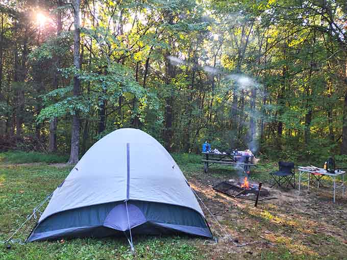 Camping under the stars here beats any hotel experience, assuming you remembered to pack the marshmallows and bug spray.