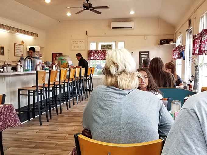 The dining room hums with the comfortable energy of people who know they've found something special worth returning for.