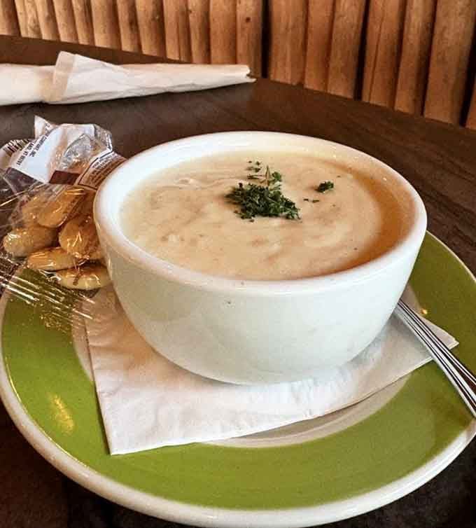 Creamy clam chowder that'll warm your soul even when it's eighty degrees outside, no judgment here.