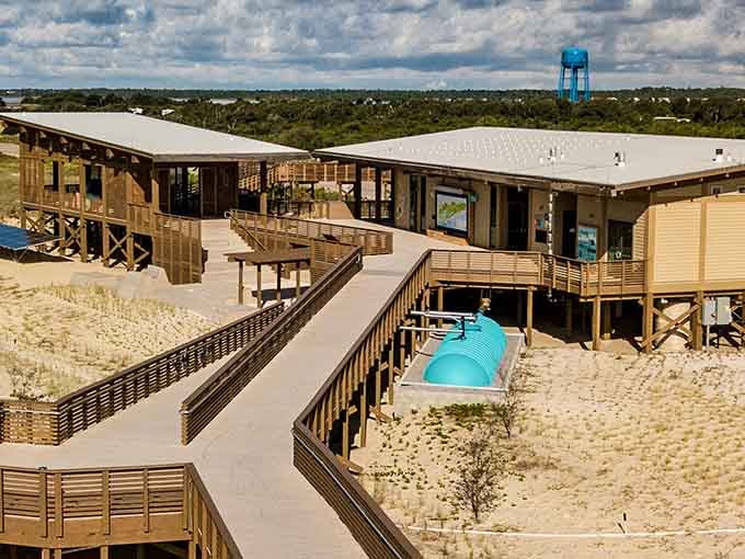 The Nature Center's sleek design houses interactive exhibits where learning about ecosystems feels surprisingly entertaining.