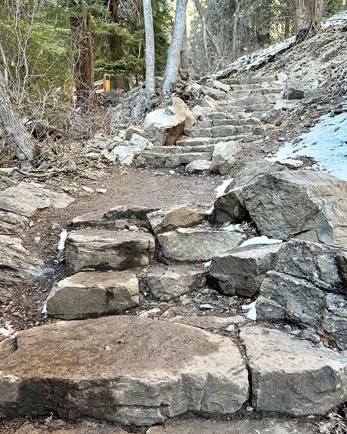 Those stone steps represent someone's serious commitment to making beauty accessible to determined hikers everywhere.