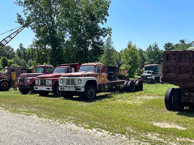 These vintage workhorses spent decades earning their keep on America's highways and byways before retiring here.