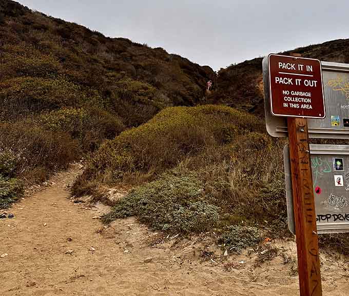 That "Pack It In, Pack It Out" sign is California's polite way of saying keep paradise pristine, folks.