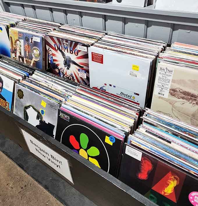 Bargain bins are where treasure hunters strike gold – patience and persistence pay off in unexpected musical discoveries here.