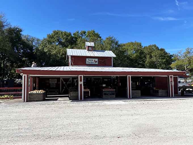 The farm market building where fresh produce goes from field to basket faster than your GPS updates.