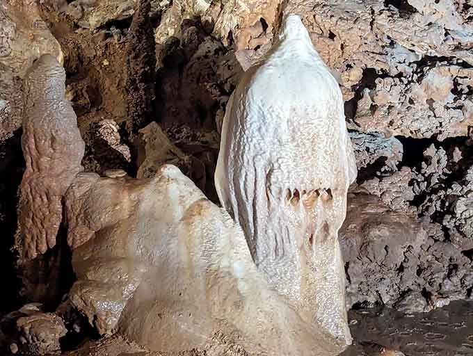 This ghostly white formation looks like it could be from another planet, not just beneath Georgetown.