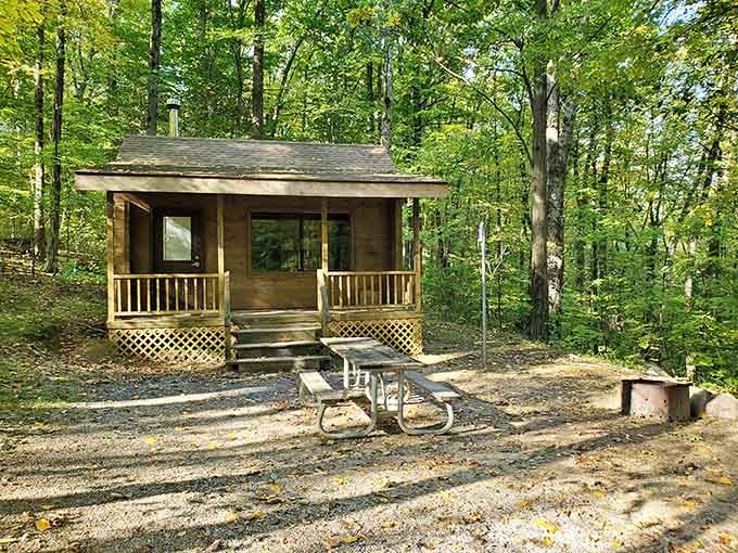Your rustic cabin awaits, complete with front porch views that beat any penthouse suite in Manhattan.