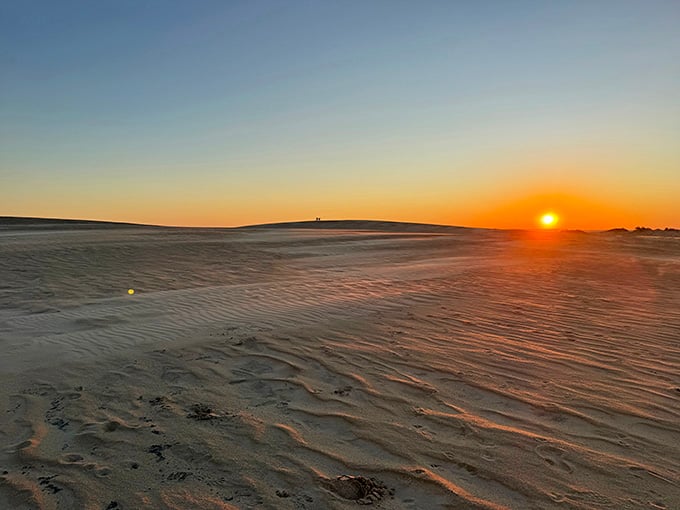 Sunset paints the dunes in shades that'd make a professional photographer weep with joy and Instagram influencers lose their minds.